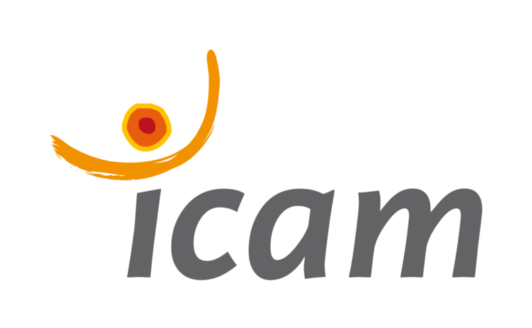 Éléments graphiques – Icam Brand Center