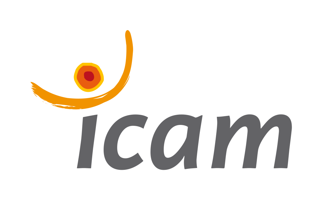 Éléments graphiques – Icam Brand Center