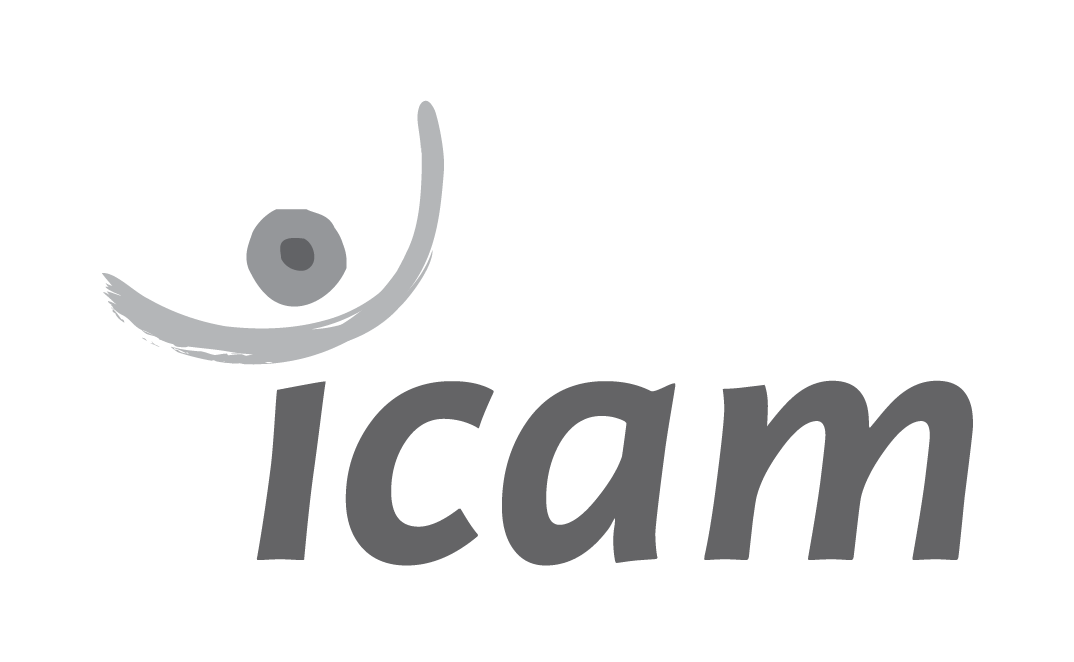 Le Logotype – Icam Brand Center